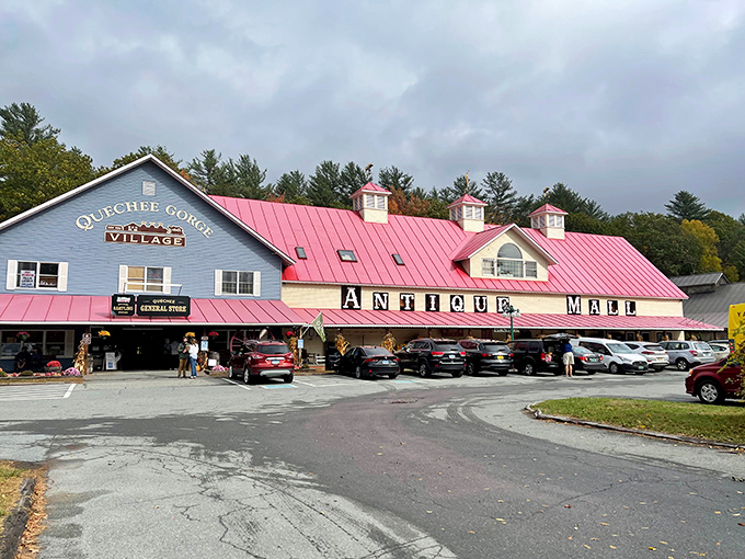 A barn-sized time capsule! This blue behemoth with its cheery pink roof is like a siren song for nostalgia hunters and curiosity seekers alike.