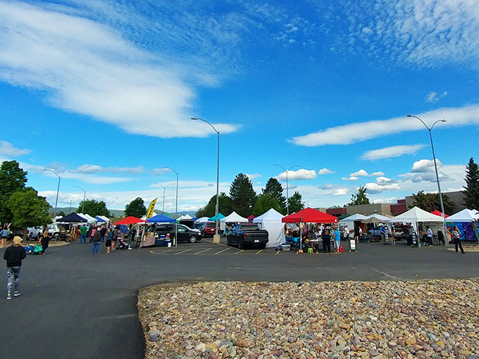 A sea of colorful tents stretches out under Montana's big sky. It's like a rainbow decided to have a yard sale, and everyone's invited! 