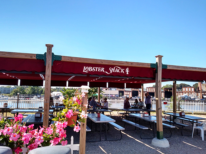 Welcome to lobster paradise! This charming red-roofed haven is where seafood dreams come true, complete with a view that'll make your taste buds dance.