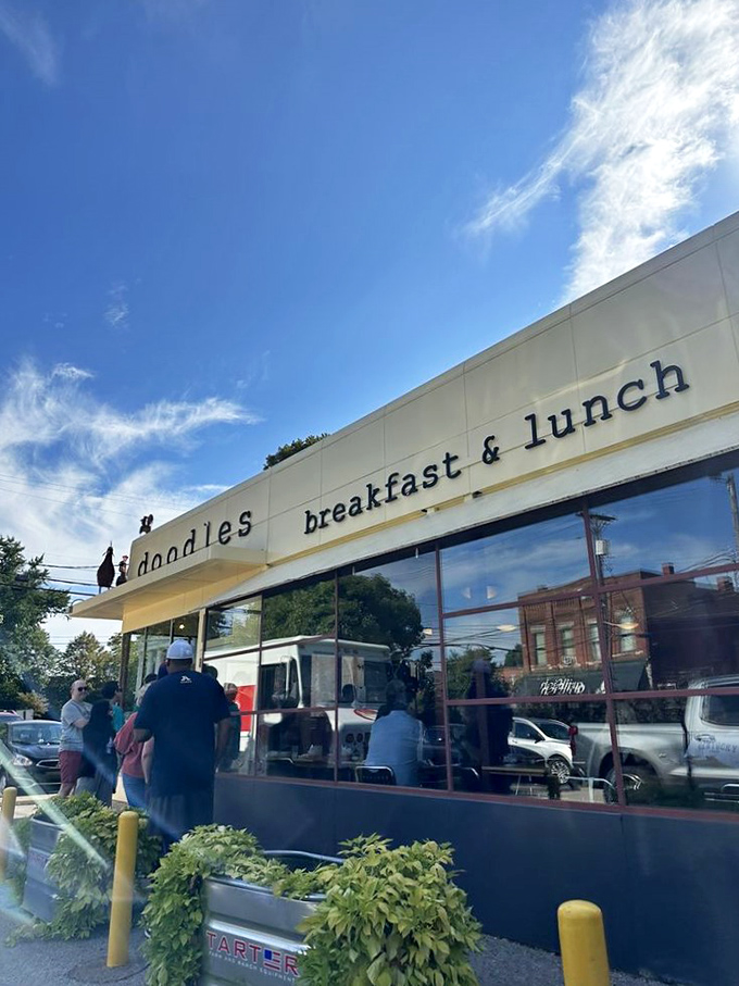 Roosters on the roof? It's not a barnyard, it's breakfast heaven! Doodles' cheerful exterior promises comfort food that'll make you crow with delight.