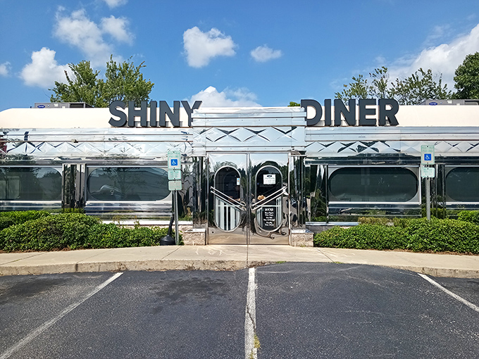 Chrome-plated dreams and waffle-scented wishes! The Shiny Diner gleams like a beacon of comfort food, beckoning hungry travelers with its retro charm.