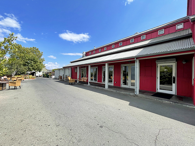 Red alert! This barn-turned-bistro is serving up comfort food that'll make your taste buds do a happy dance. Welcome to Boon Fly Cafe, where rustic charm meets culinary magic.