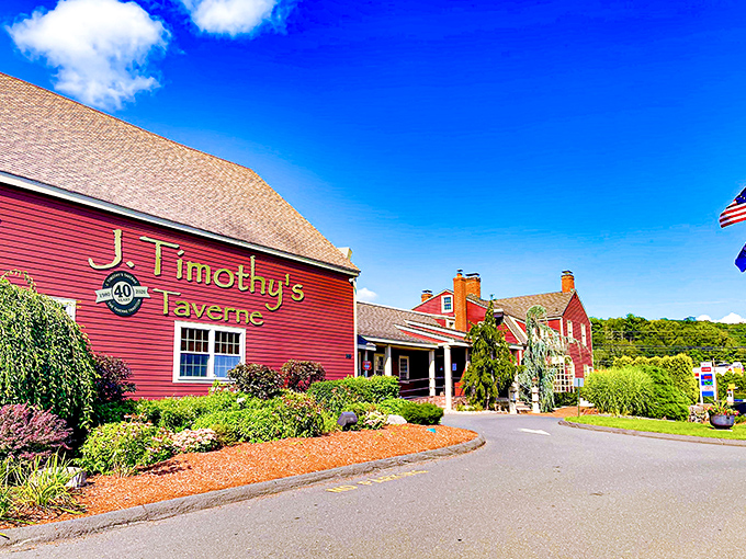 A burgundy beauty with a storied past! J. Timothy's Taverne stands proud, its colonial charm inviting you to step back in time and indulge in modern flavors.