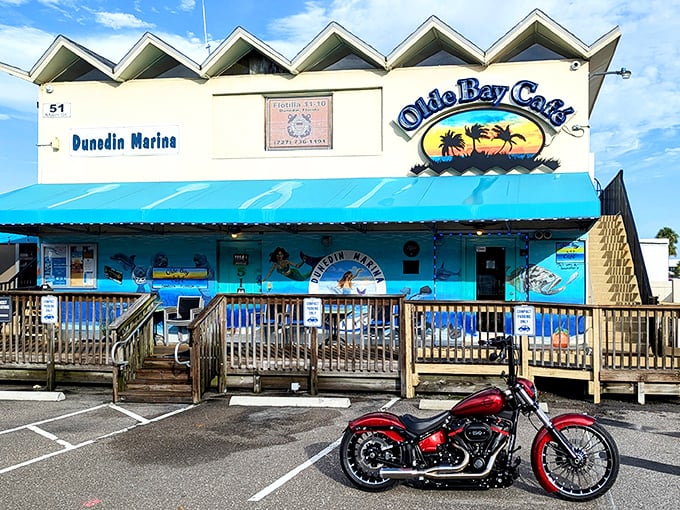Welcome to seafood paradise! Olde Bay Cafe's exterior is like a siren's call to hungry sailors and landlubbers alike.