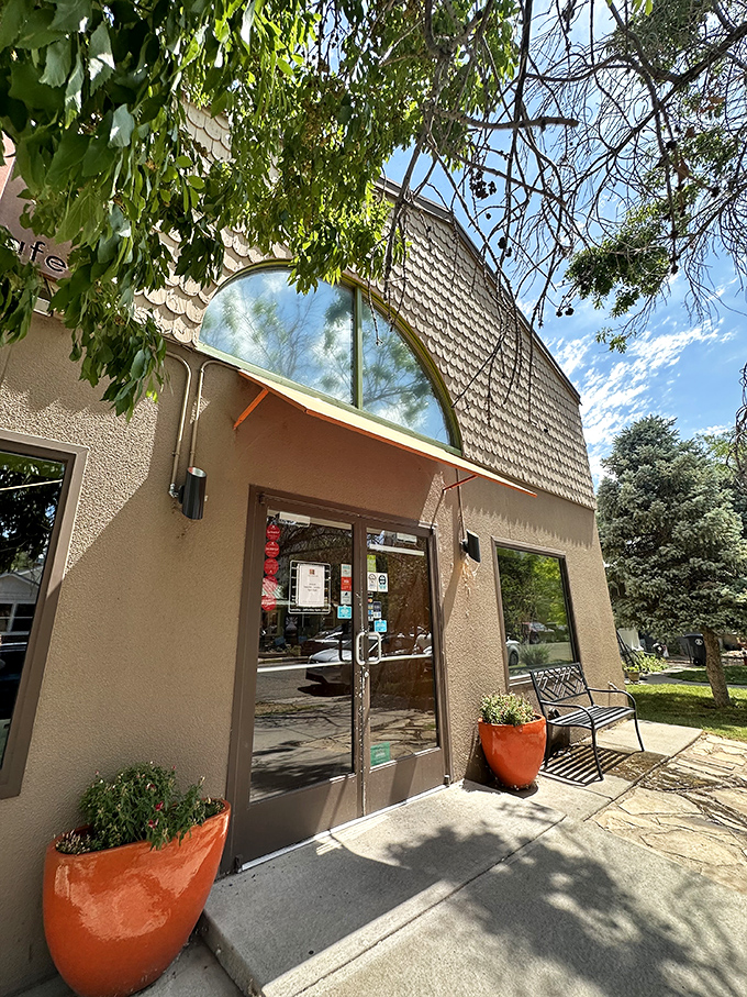 The stucco exterior with distinctive orange planters might not scream "culinary paradise," but locals know better. Sometimes the best treasures hide in plain sight.