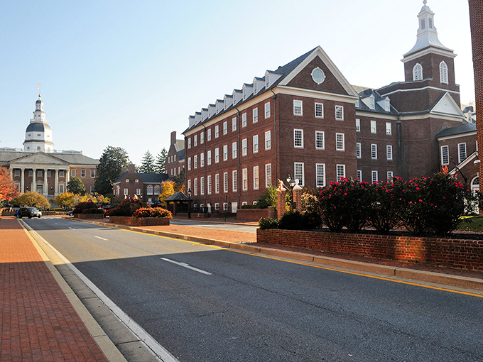 Brick by brick, history whispers: Annapolis's stately buildings stand tall, a testament to time and taste. Colonial charm meets modern grace in this postcard-perfect scene.