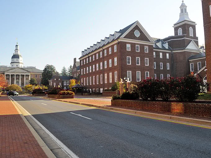 Annapolis: Where history and charm collide! This picturesque street scene could be the opening shot of a time-traveling rom-com.