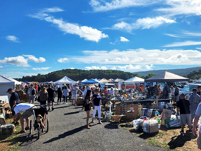 A sea of white tents stretches to the horizon, promising treasures as vast as the Hudson Valley sky. Welcome to bargain-hunter's paradise!