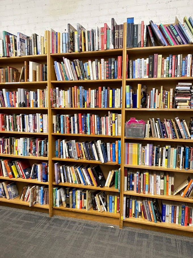 Bargain hunters, rejoice! This section is like a treasure chest for book lovers on a budget.