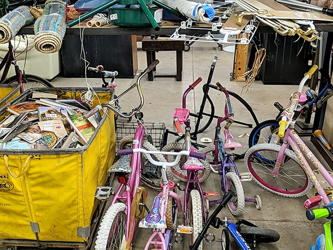 Pedal down memory lane! These bikes are itching to hit the road again, possibly with E.T. in the basket. Phone home, anyone?