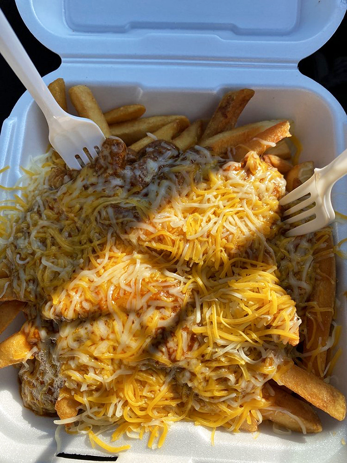 Fries that went to flavor town and came back victorious! These chili cheese fries are a delicious disaster waiting to happen.
