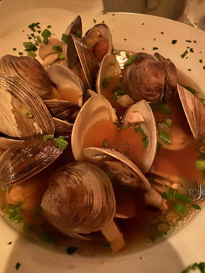 These clams aren't clamming up &ndash; they're singing a siren song of flavor. Dive in and let the broth work its magic.