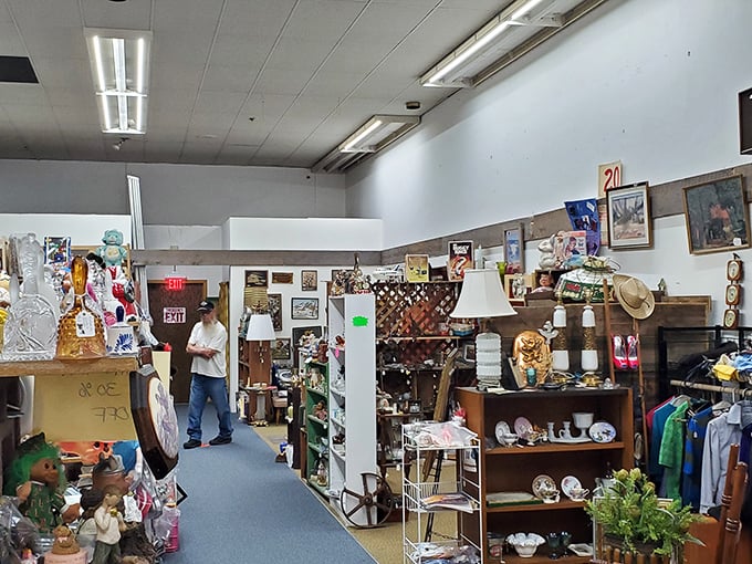 Treasure hunter in action! This intrepid explorer navigates aisles of history, proving that one person's clutter is another's gold mine.