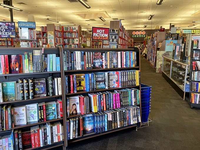 Hot fiction alert! Dive into a sea of stories where every spine promises a new adventure. Just don't blame us if you emerge with pruney fingers!