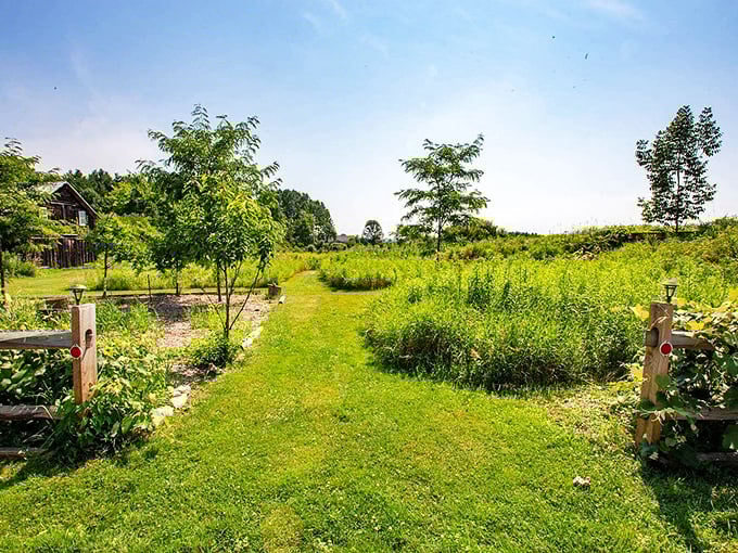 Who needs a time machine when you've got community gardens? Step into this green oasis and feel your blood pressure drop faster than a skydiver.