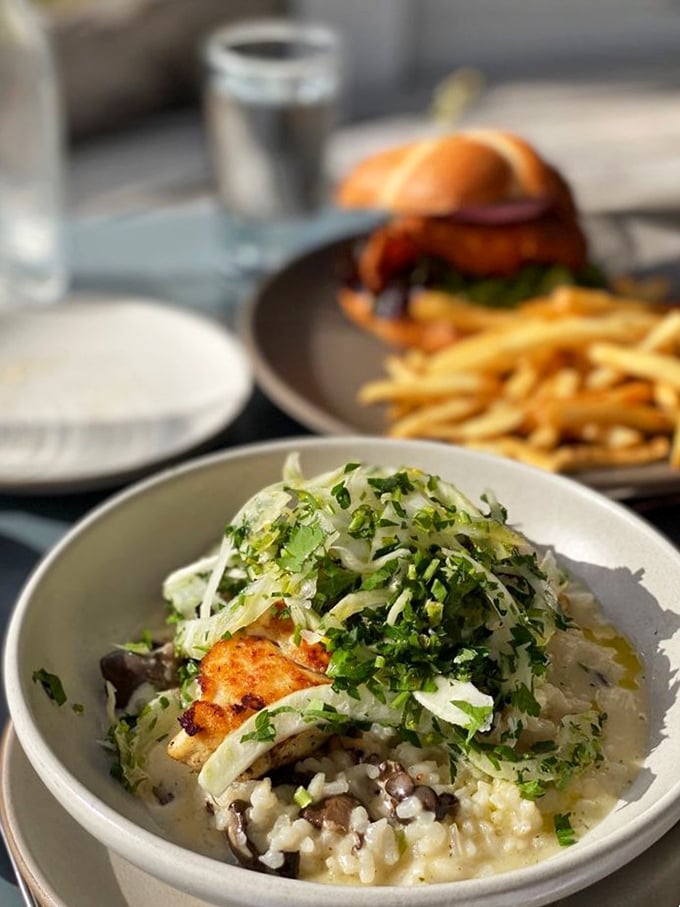 Risotto that's dressed to impress! This creamy delight, topped with fresh greens, is giving the oysters a run for their money.