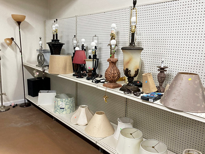 Illuminating finds! These lamps aren't just lighting fixtures; they're potential characters in your home's ongoing sitcom.