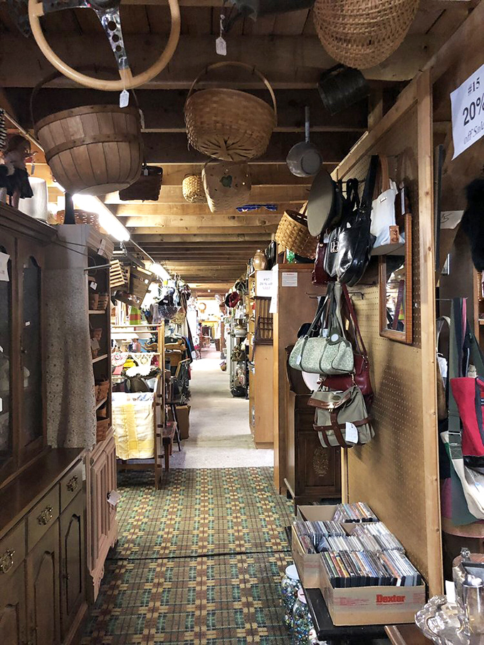 On sale: worlds of wonder, no passport required. These discounted gems are your ticket to adventure without breaking the bank.