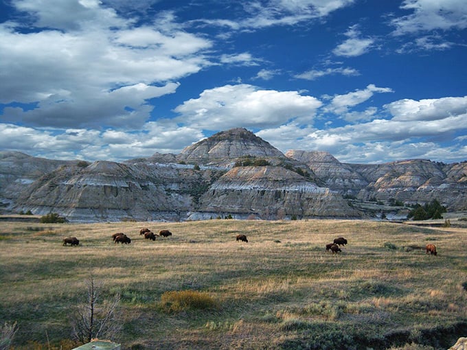 Panoramic perfection: Medora's landscape is so vast and beautiful, it makes your widescreen TV look like a postage stamp. Nature in IMAX!
