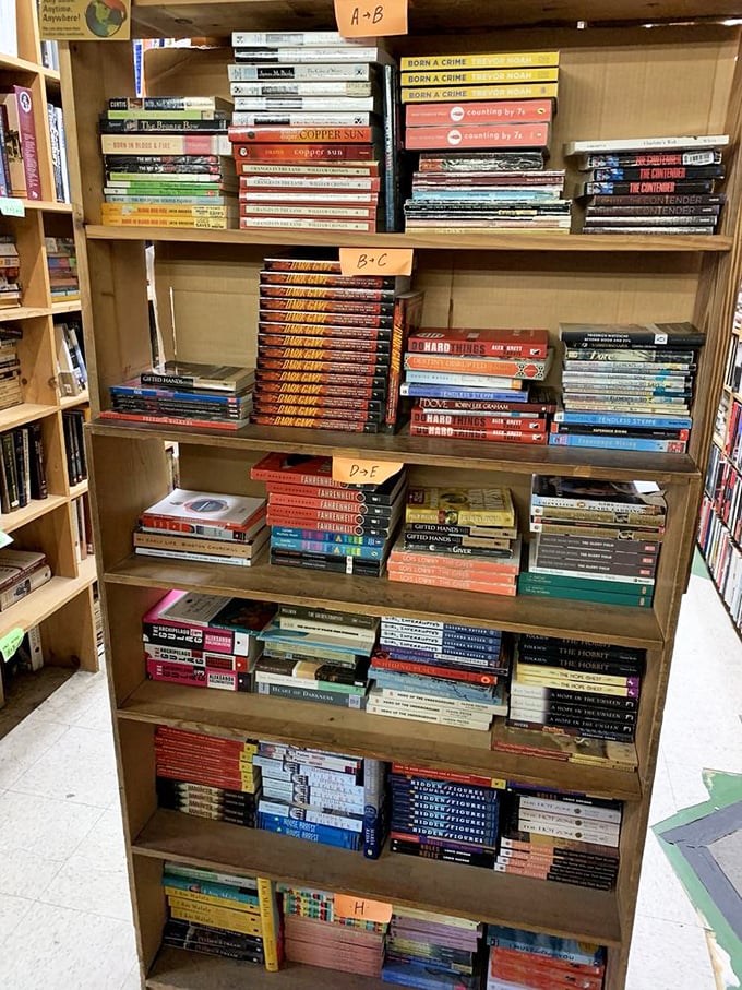 Rare books: where "old" means "treasure" and dust jackets are like time capsules. Indiana Jones would trade his whip for these finds.