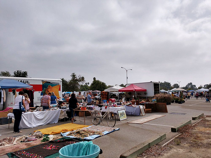 Nature's jewelry box on display! These colorful crystals and rocks are like Earth's own version of Tiffany's window.