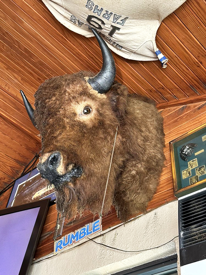 Meet the guardian of good eats. This buffalo head watches over diners, ensuring every burger meets the high standards of the Wild West.