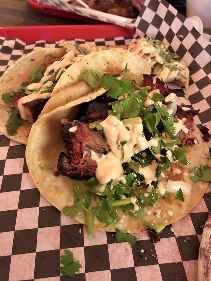 BBQ tacos&mdash;where Texas meets Mexico in a handshake of deliciousness. The cilantro and sauce drizzle aren't just garnish; they're essential diplomatic relations.