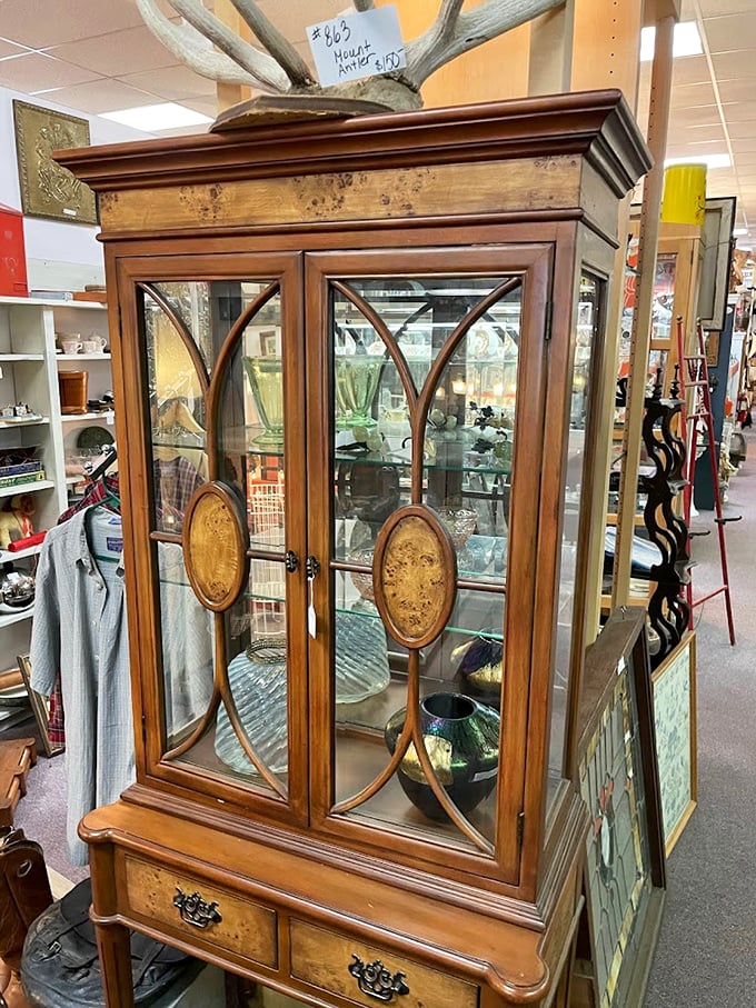 A cabinet of curiosities that would make even the most seasoned collector swoon. It's like a treasure chest for grown-ups!