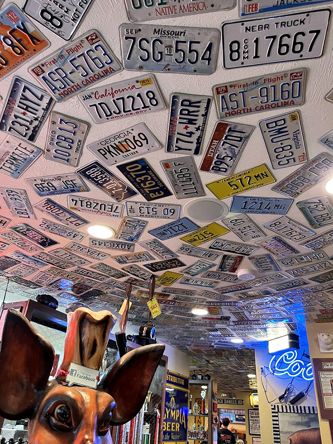 Look up and marvel at the Great Wall of License Plates. It's like a road trip across America, minus the gas bills.