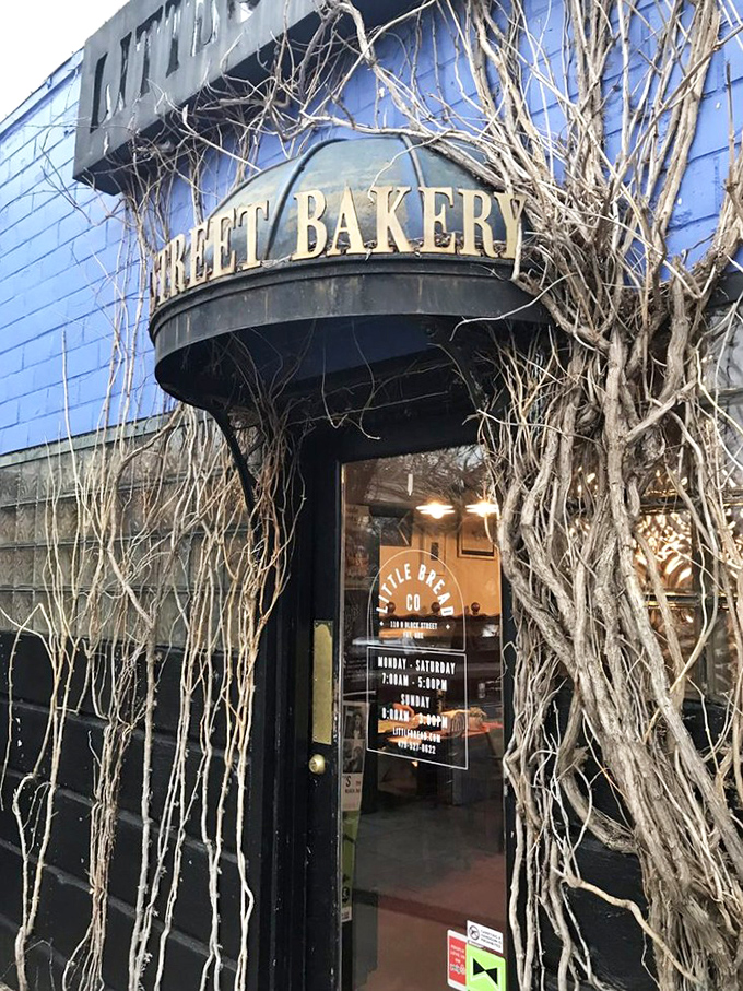 Nature meets nurture at this inviting entrance. Vines frame the doorway like a living welcome mat to this bread lover's paradise.