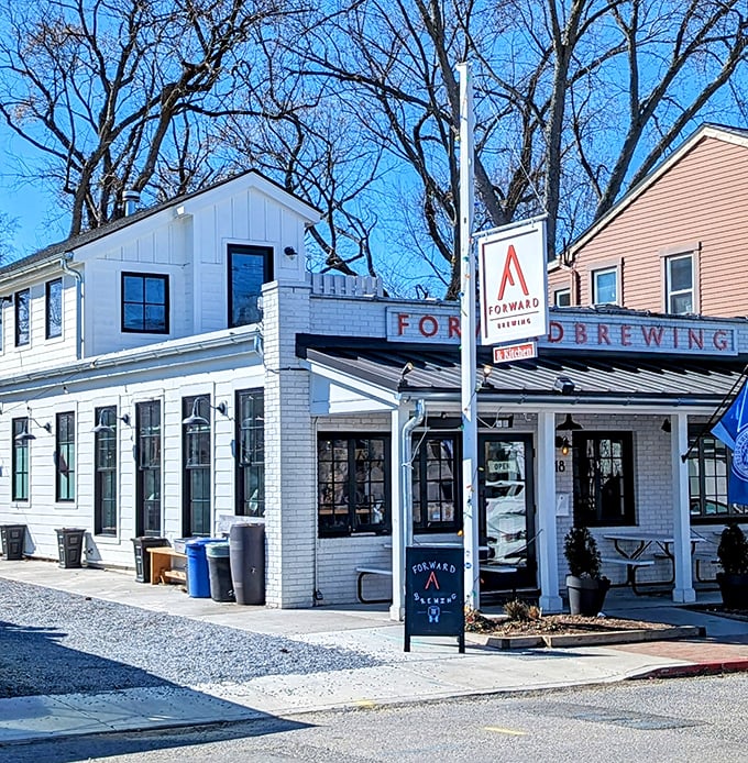 Forward Brewing: Crafting the future of beer, one pint at a time. It's like a science lab, but with tastier experiments!