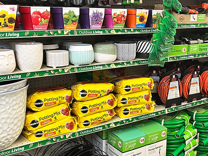 Garden dreams sprouting at $3 a pot. These ceramic beauties and potting mix bags are practically begging to beautify your backyard.