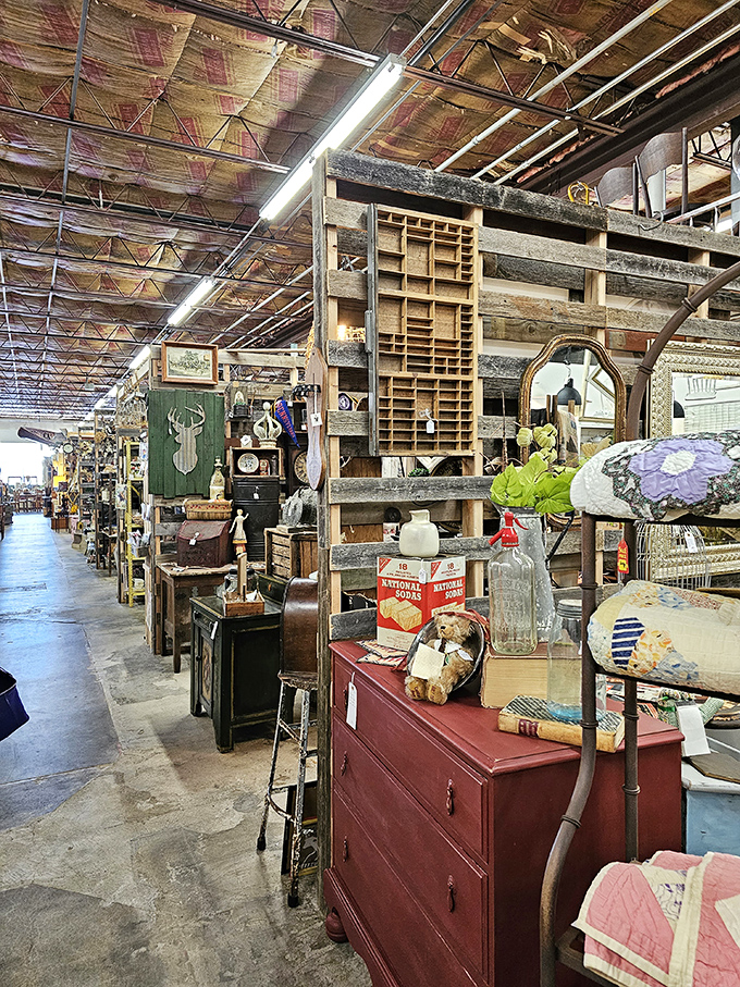 Down the rabbit hole we go! This aisle stretches on like a scene from "Inception," each turn revealing new wonders from the past.