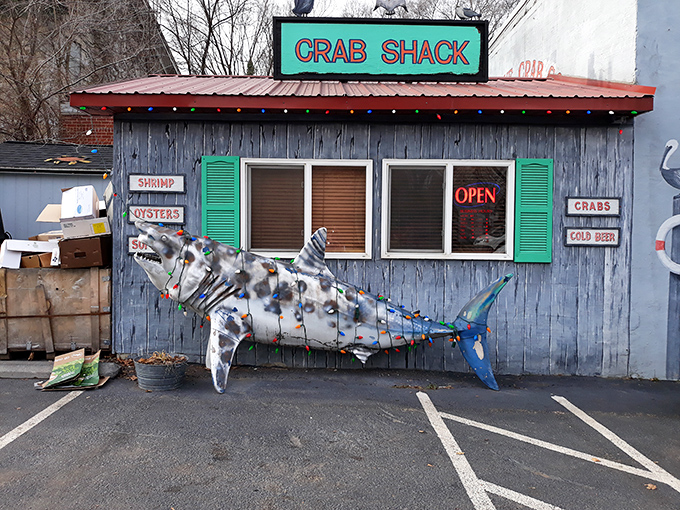 Who says you can't find Jaws in West Virginia? This metallic shark is the perfect photo op for your "I survived Mother Shuckers" social media post.
