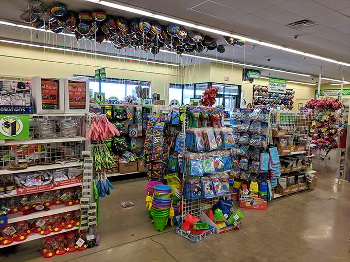 Party supplies that transform ordinary gatherings into celebrations without the post-party financial hangover.