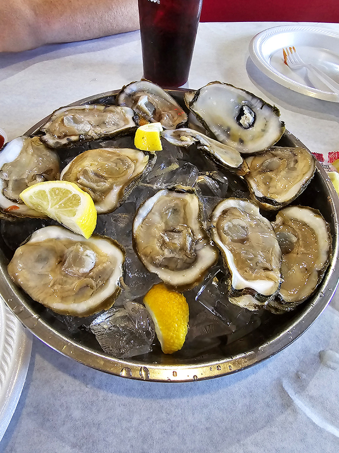 The world is your oyster! These briny beauties on ice are nature's perfect appetizer – just add a squeeze of lemon and slurp away.