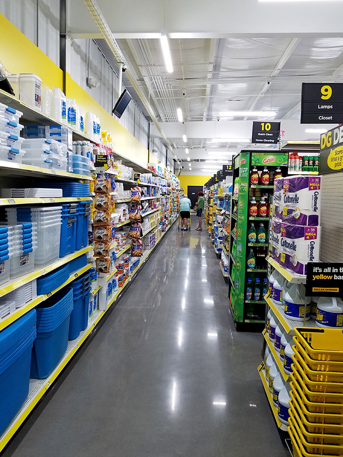 Bargain hunters in their natural habitat. Watch as they navigate the aisles with the precision of seasoned deal-seeking ninjas.