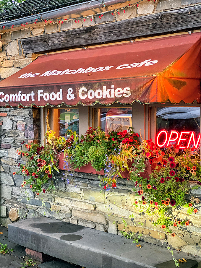 Flowers so vibrant, they make the "Open" sign look shy. Nature and neon in perfect harmony.