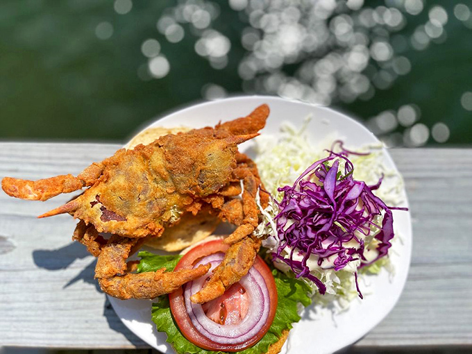 Soft shell crab: nature's way of saying, "Why shuck when you can just munch?" This crispy crustacean sandwich is a seaside delicacy on a bun.