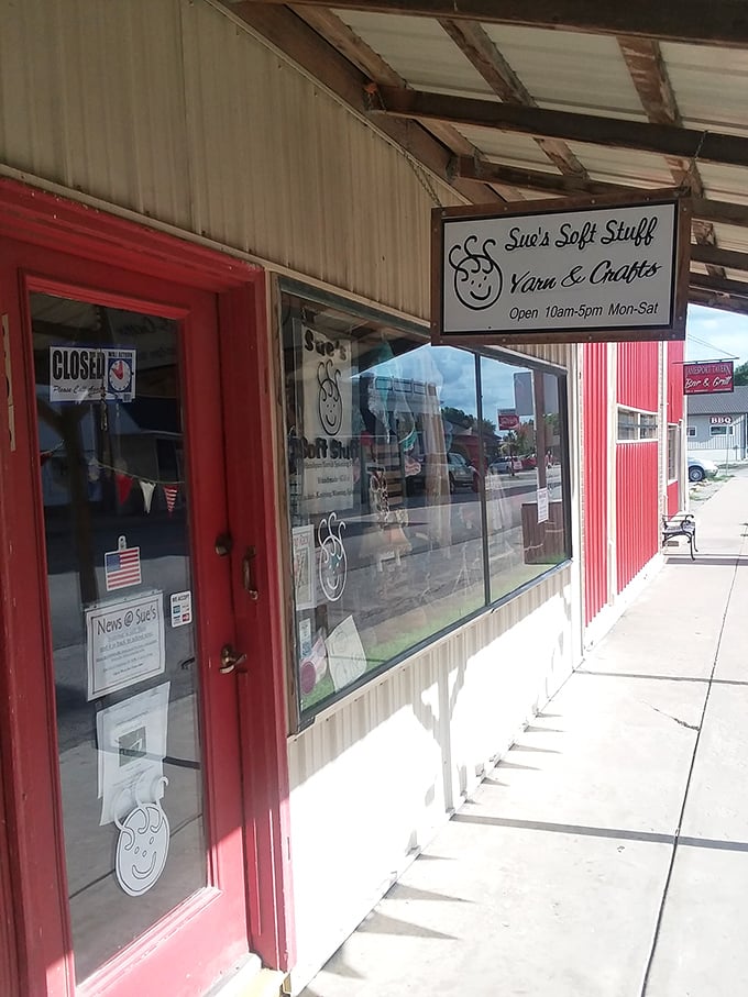 Sue's Soft Stuff: Where yarn dreams come true. Warning: You may leave with an irresistible urge to knit cozies for everything you own.