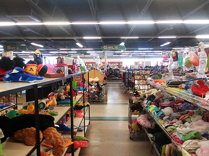 Toy Story come to life! These shelves are where childhood dreams go for their second act.