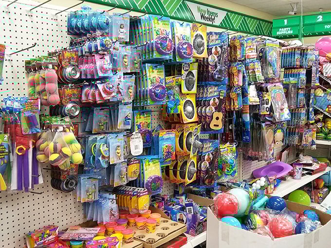 A toy wonderland that'll make both kids and inner children squeal with delight. It's like FAO Schwarz had a yard sale!