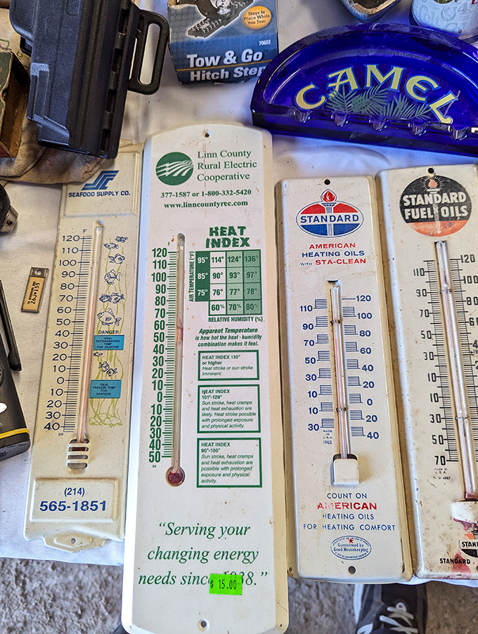 These aren't just thermometers; they're time machines! Each one tells a story of changing temperatures and unchanging Midwestern charm.