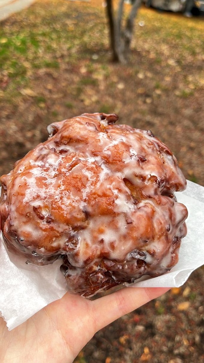 The apple fritter that launched a thousand ships... or at least a thousand return visits. Homer would write an epic about this beauty.