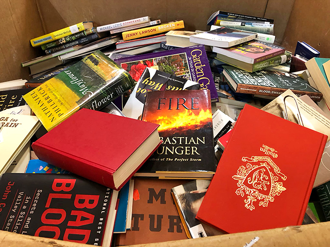 A literary lucky dip! Dive into this box of book surprises &ndash; you never know what gem you might unearth.