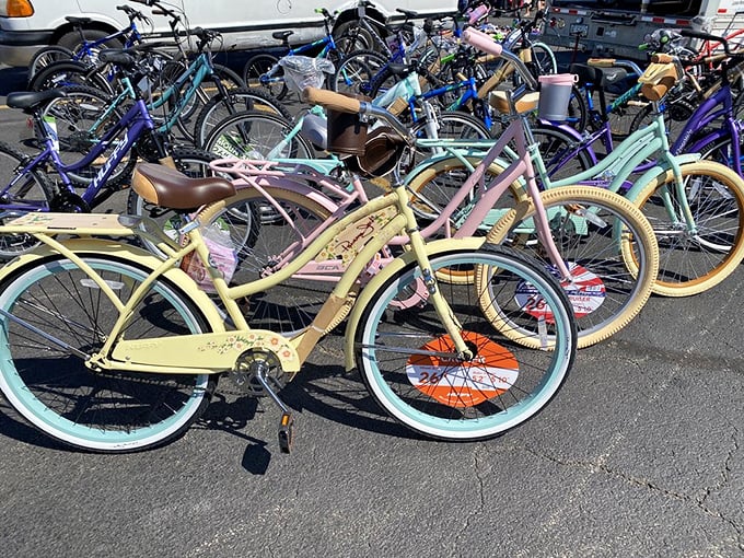 Pedal to the metal &ndash; or should I say, pastel? These bikes are so pretty, they make Lance Armstrong's yellow jersey look downright drab.