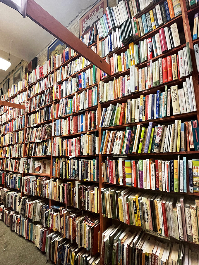 A rainbow of reading awaits! From floor to ceiling, these technicolor tomes are a visual feast, each spine a promise of new worlds to explore.