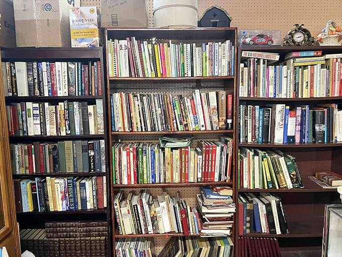 Bookworm's paradise alert! This literary labyrinth is where stories come to retire and wait for their next adventure. Time to adopt a book!