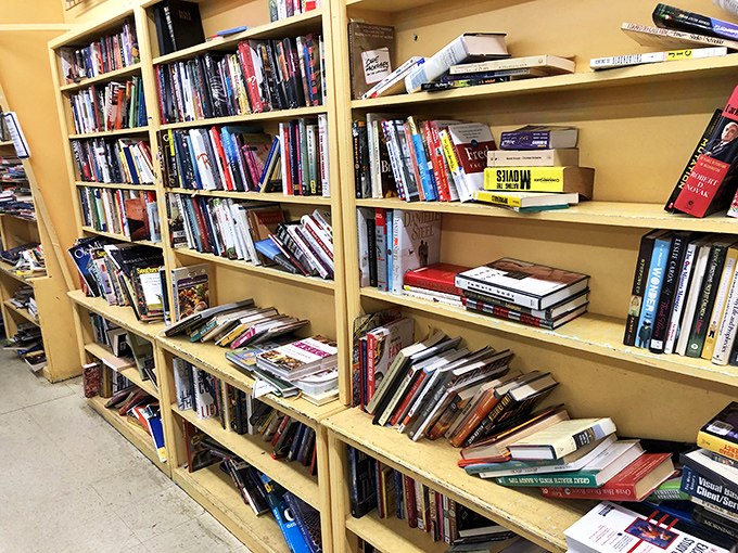 Books stacked like literary lasagna&mdash;layers of stories, knowledge, and adventures waiting to be devoured for mere pocket change.