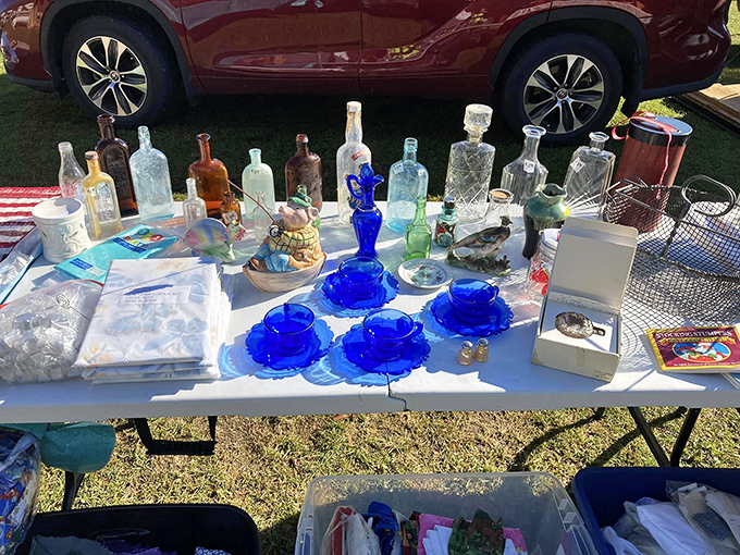 Cobalt blue glassware catches Vermont sunlight like liquid sapphires. Someone's grandmother's treasures becoming someone else's new obsession.